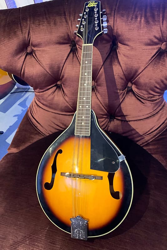 Rogue Mandolin (Pre-Owned) | Reverb