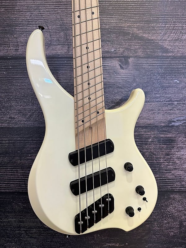 DINGWALL 5 String Bass Guitar (Clearwater, FL) | Reverb
