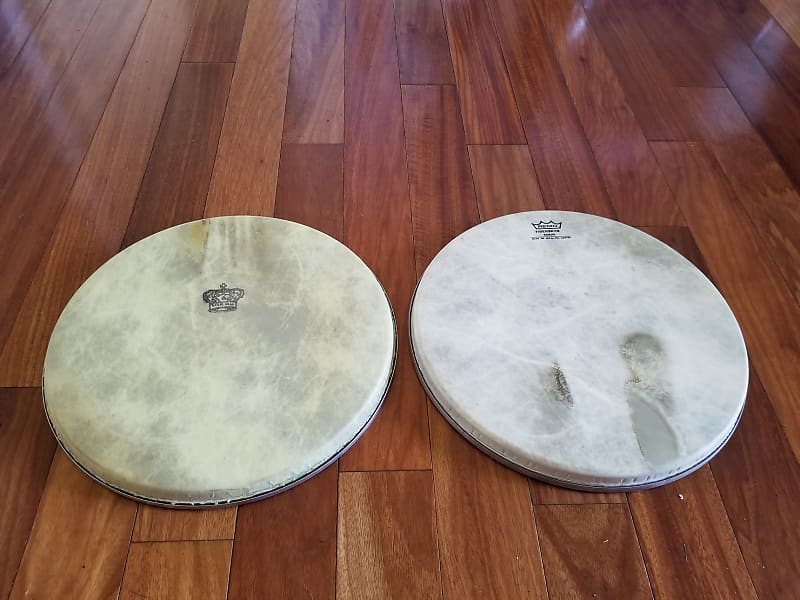 Remo 12" High Crown Banjo Head Fiberskyn (Set of 2) | Reverb