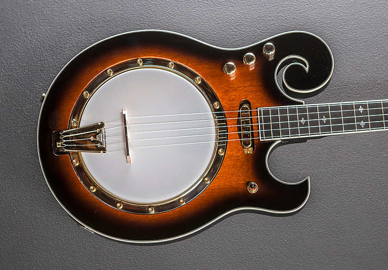 EBM-5 Electric Banjo | Reverb