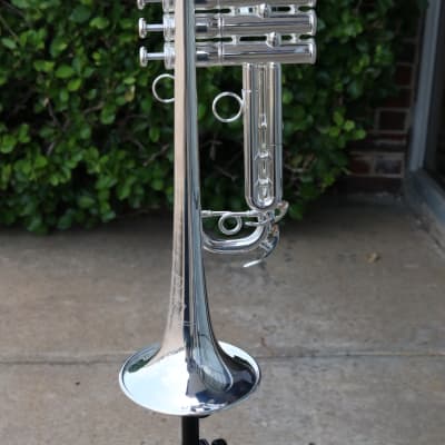 BAC Musical Instruments Handcraft Series Paseo Professional | Reverb