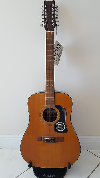 Washburn D12S-12 Twelve String Acoustic Guitar | Reverb