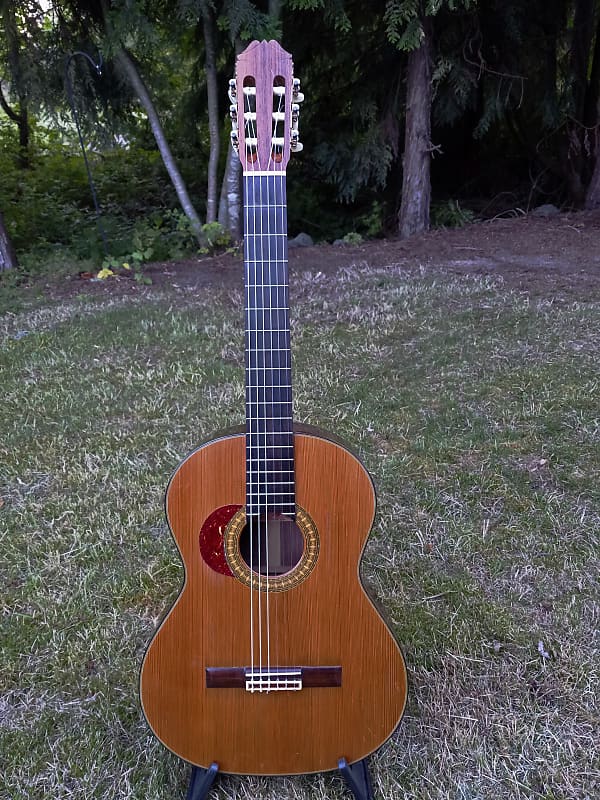 Aria AC50 C 1970 | Reverb