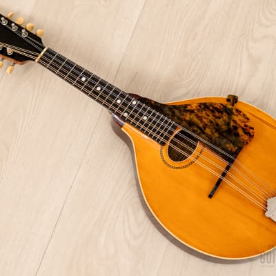 1918 Gibson Style A Mandolin Pumpkin Top Collector-Grade w/ | Reverb
