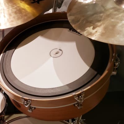 DW Nordic 20 Inch Gong Drum 2021 - Satin Oil | Reverb