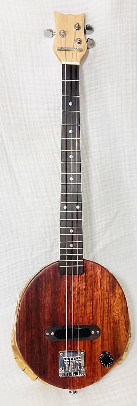 Turtle Shell Electric Tenor Guitar | Reverb