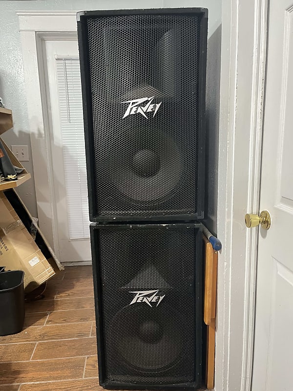 2 Peavey PV 115 2019 Speakers | Reverb
