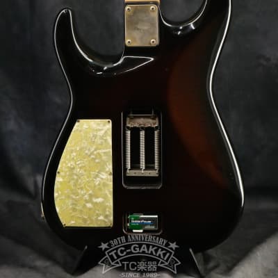 JAMES TYLER USA 1991 USA Still Elite Deluxe | Reverb