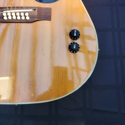 Vintage 1979 Hohner HG12 12 String Acoustic Guitar w/ | Reverb