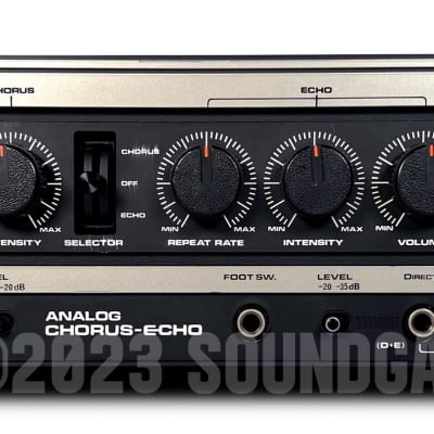 Roland DC-30 Chorus Echo aka Boss DM-300 *Soundgas Serviced* | Reverb