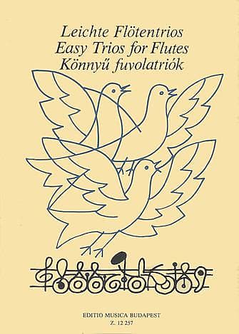 Concerto In C Minor For Flute Strings And Continuo Rv 441 | Reverb