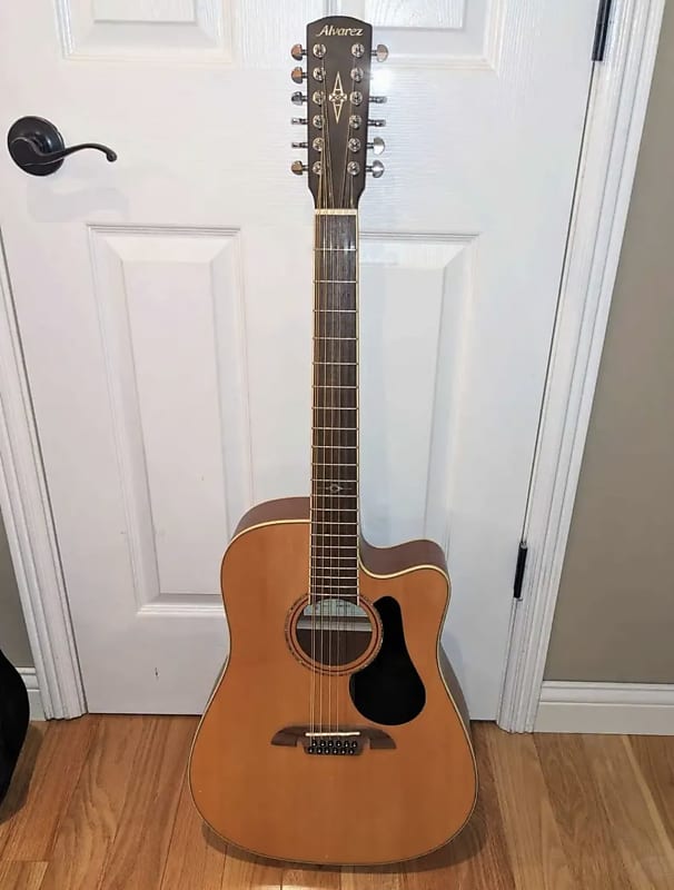 Alvarez AD6012CE 12 string electric w gear bag | Reverb