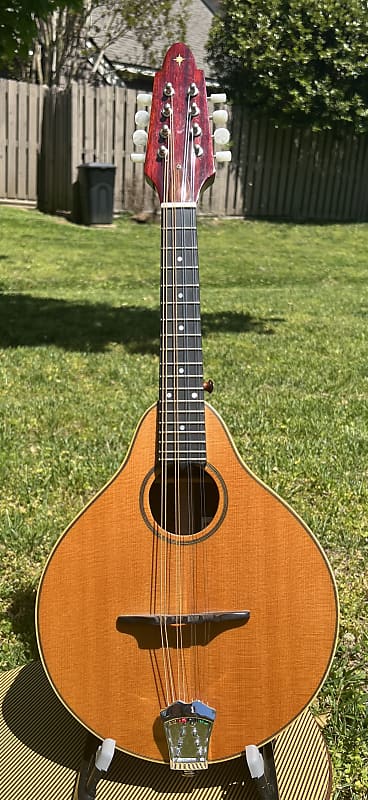 Richard Beard Celtic Mandolin #28 - Laquer | Reverb