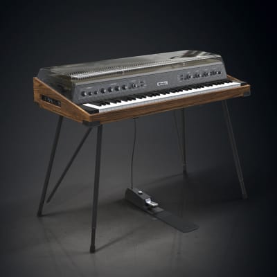 Rhodes MK 8 Deluxe | Reverb
