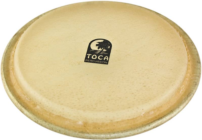 Toca Bongo Head for Limited Edition, Custom Deluxe, Eric | Reverb