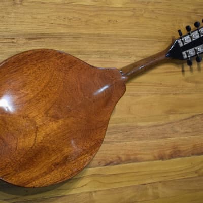 The Dayton Style B mandolin 1910s - black | Reverb Deutschland