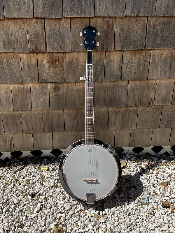 Davison Banjo with Remo Weatherking Head | Reverb