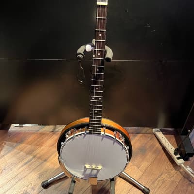 Fender 5 String Banjo | Reverb