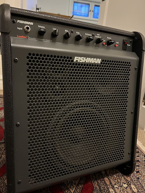 Fishman Loudbox 300 Watt LBX-PRO-001 2005 Black | Reverb