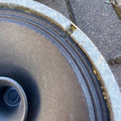 Four 3 watt 8 ohm 8" speaker for Rob Robinette Micro Deluxe | Reverb
