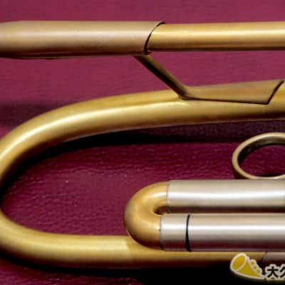 2020's LOTUS Lotus Classic B ♭ Trumpet | Reverb