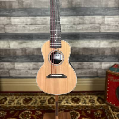 Aquila Micro Guitar Cedar Top (Standard E Tuning) | Reverb