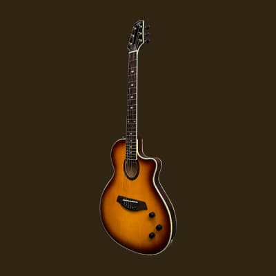 Aslin Dane Icosa 6 String thin line electric-acoustic guitar | Reverb