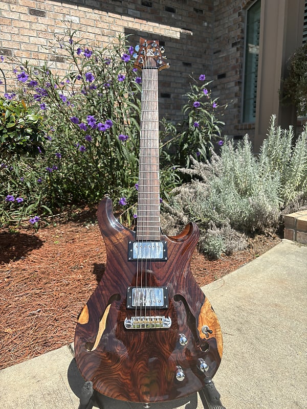 SJ Custom Guitars Hollowbody,Exotic rosewood top,mahogany | Reverb