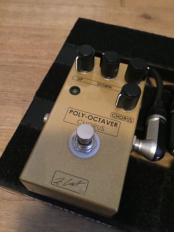 ZCAT Poly-Octaver Chorus Gold | Reverb