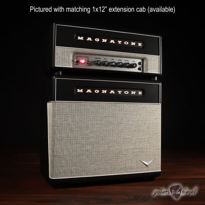 Magnatone Super Fifteen 15-Watt Tube Amp Head w/ Cover | Reverb