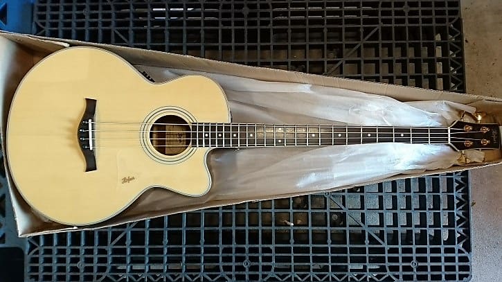 Hofner Acoustic Steel String Bass, With Pickup/Cutaway, Solid | Reverb