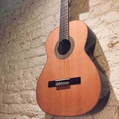 Raimundo 118 Model Classical Natural | Reverb