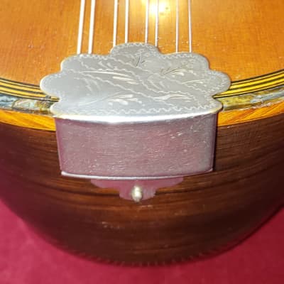 Wurlitzer Roundbelly Mandolin 1915-1935 | Reverb