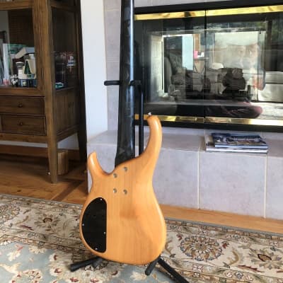Modulus Q5 5 string Bass guitar w OHSC Quantum 5 | Reverb