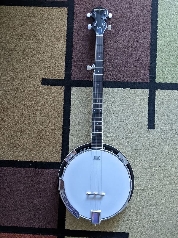 5 String Resonator Banjo with 24 Brackets with Closed Back | Reverb