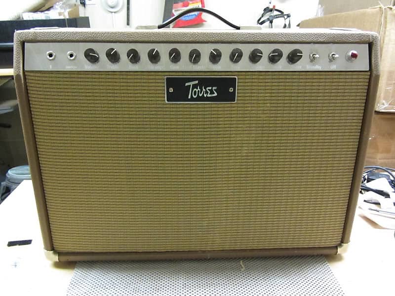 Torres DM-6T 50 Watt Combo Amp | Reverb