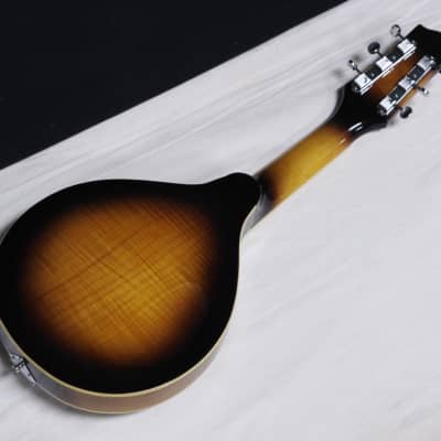 GOLD TONE GM-6 6-string Mandolin style GUITAR new GM6 Solid | Reverb