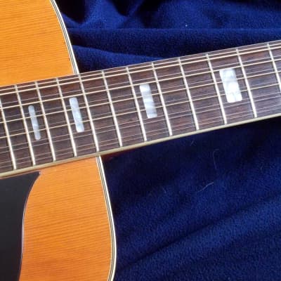 Eko Ranger Xll "Gold label" (1968-69) + piezo pickup | Reverb