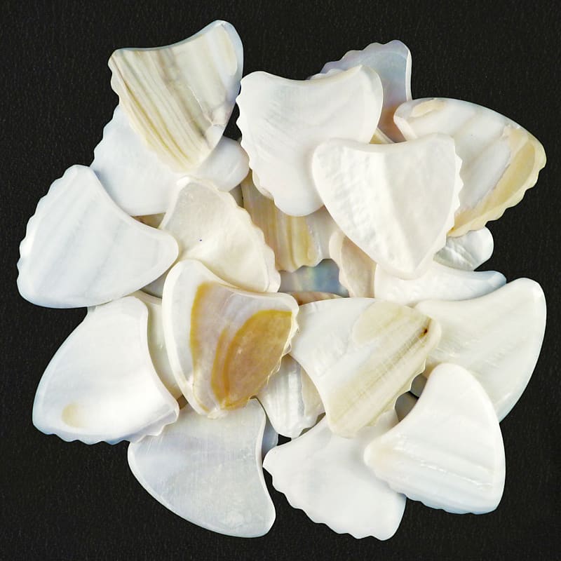 White Abalone Shell Guitar Pick - Shark Fin Shape - Handmade | Reverb