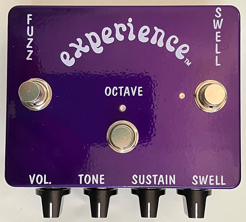 Prescription Electronics Experience 2010 late - Deep Purple | Reverb