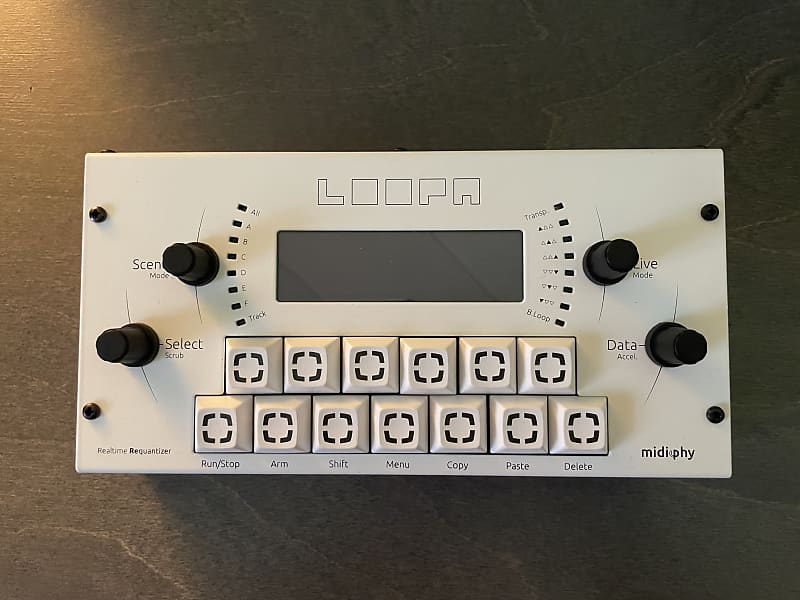 Midiphy Loopa | Reverb