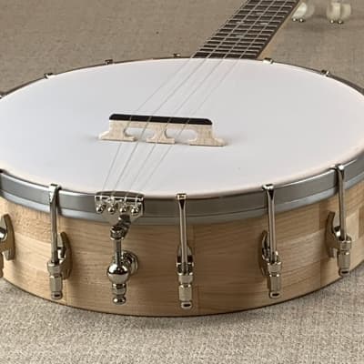 Songbird Stringed Instruments Model 20 Luthier built | Reverb