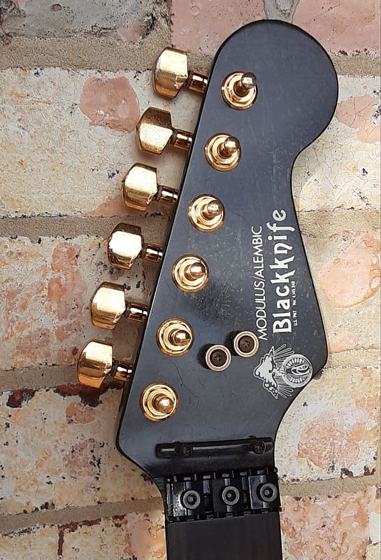 Modulus Alembic Blackknife carbon fiber Strat neck | Reverb