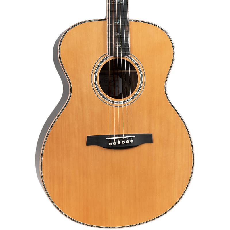 PRS SE T60 TONARE WITH PRS VOICED // FISHMAN SONITONE PICKUP | Reverb