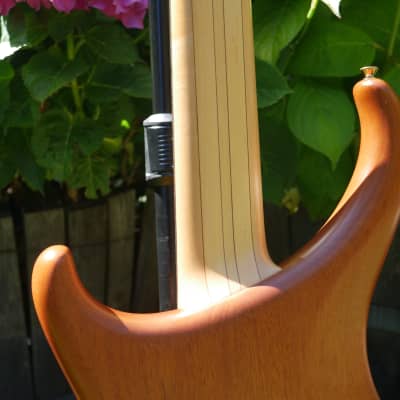 Alembic Orion 5 string | Reverb