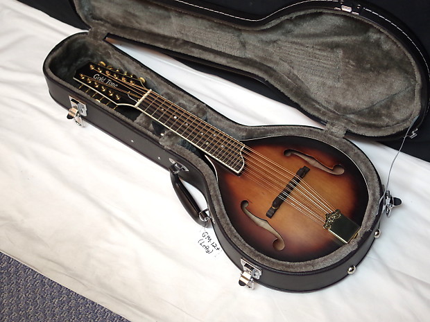 GOLD TONE GM-12+ 12-string acoustic electric LEFTY mandolin | Reverb