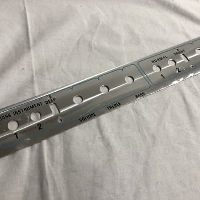 Fender Bantam Bass-Amp Faceplate 1969 Silverface | Reverb