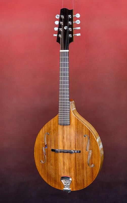 James Curtis Island Archtop mandolin cedar limba hand made | Reverb
