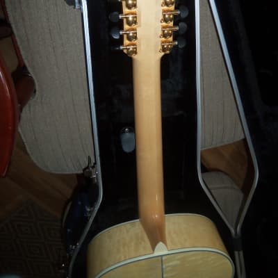 Washburn J28S12DL Cumberland Jumbo 12 String Acoustic Guitar | Reverb