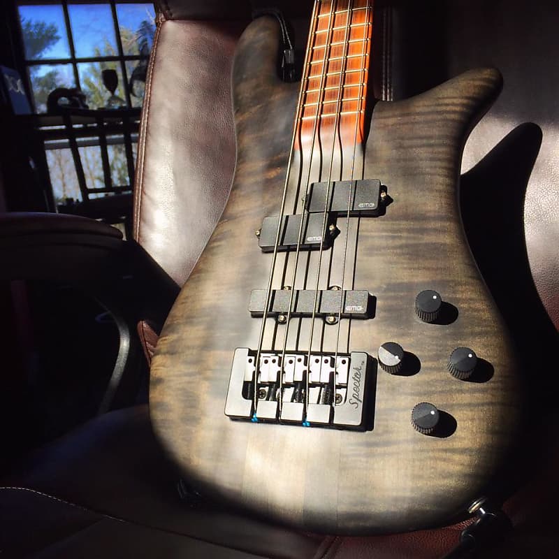 Spector Forte 4 2013 - Black Matte Stain | Reverb